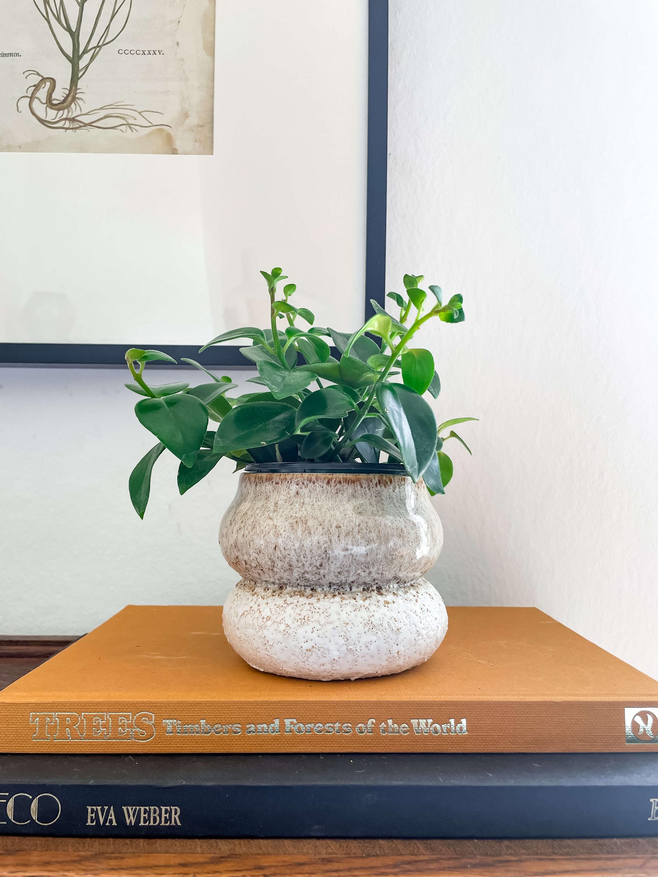 Ceramic Plant Pot Set of 3 With Drainage, Modern Sculptural Planters ...