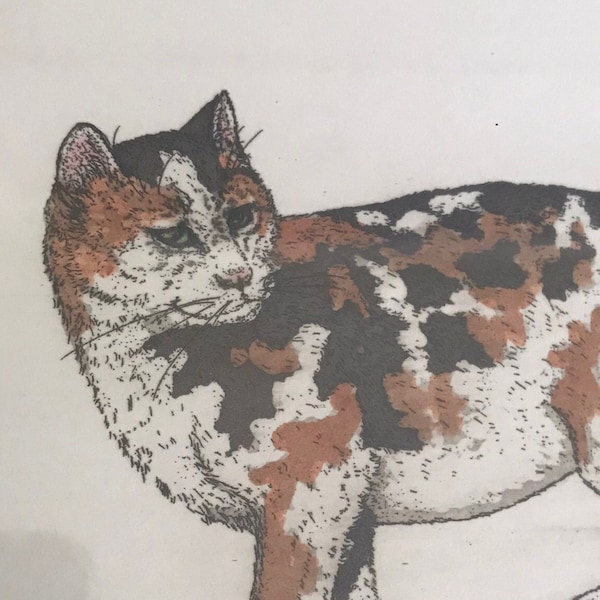 Hand Colored Etching - Etsy
