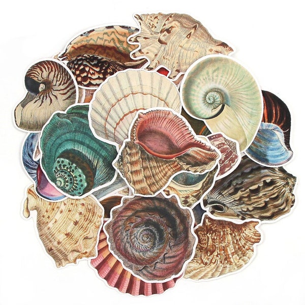 Shell Stickers - Etsy