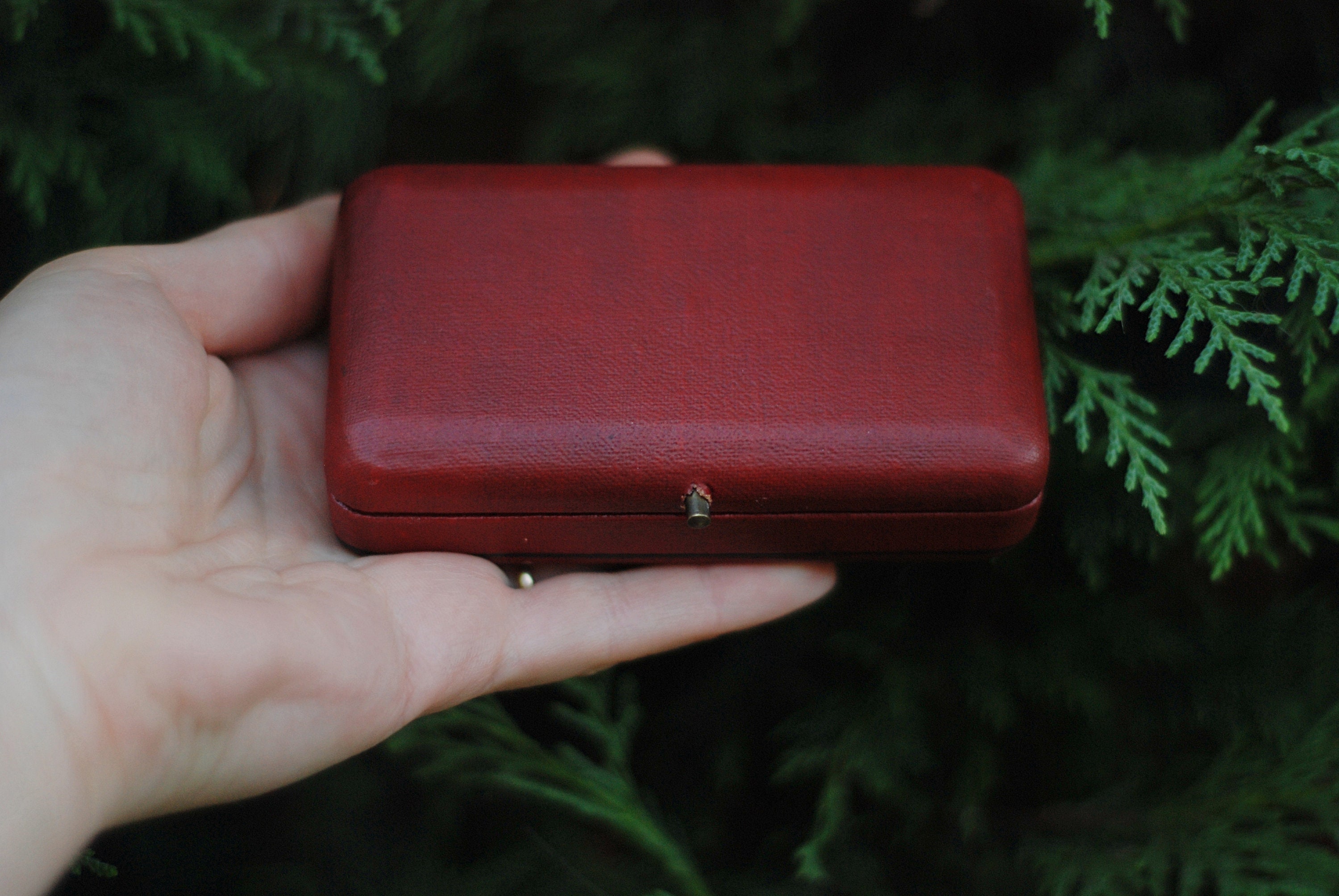 Hand Painted Jewelry Box, Antique Rabbit Painted Box, Edwardian ...