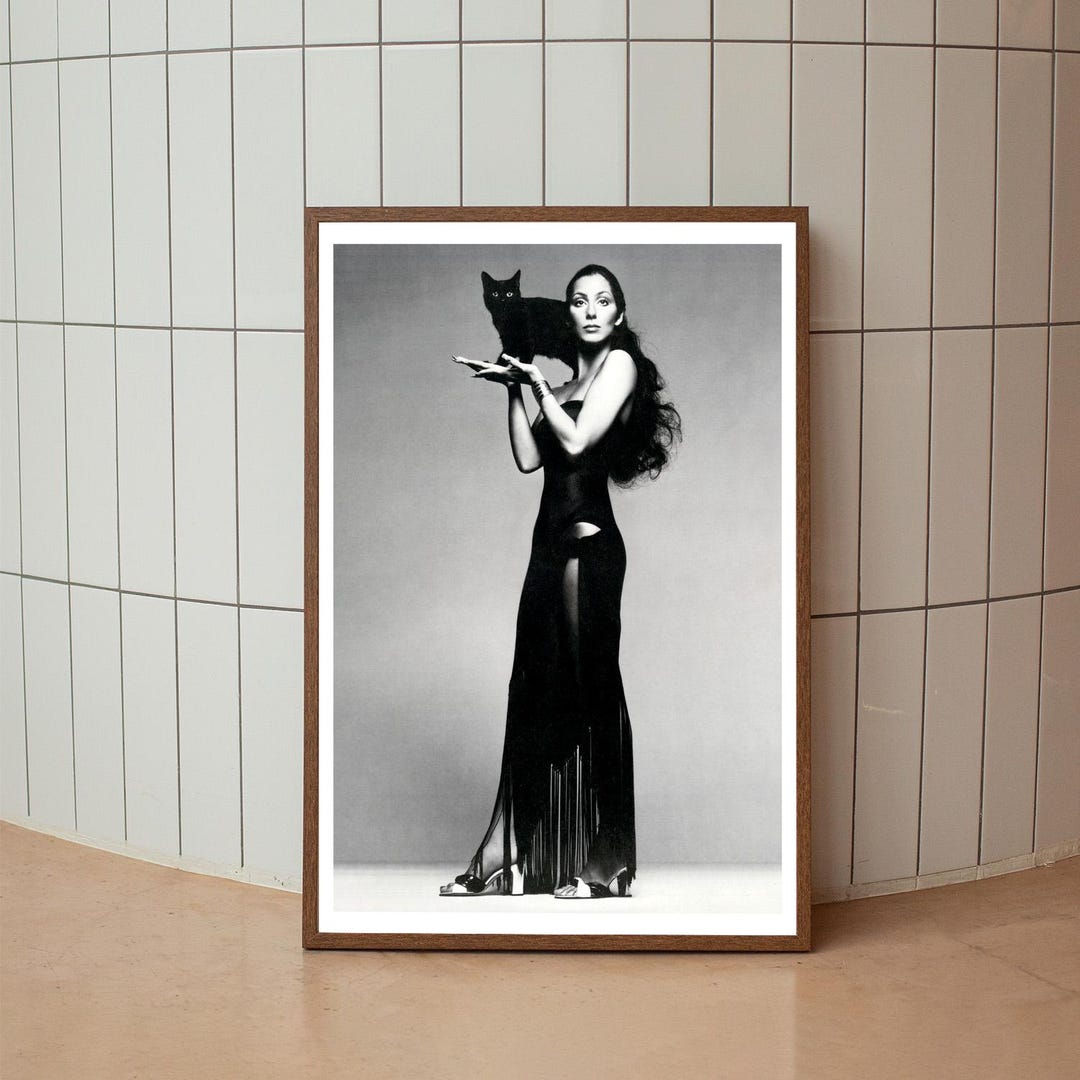 Cher Print, Cher Music, Vintage Photography Prints, Modern Decor Black ...