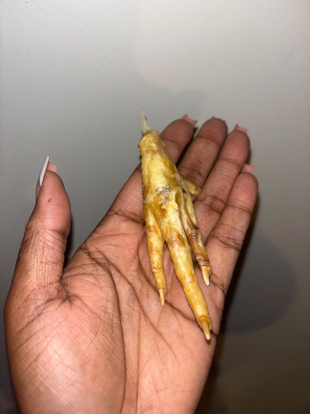 Dried Chicken Foot - Etsy