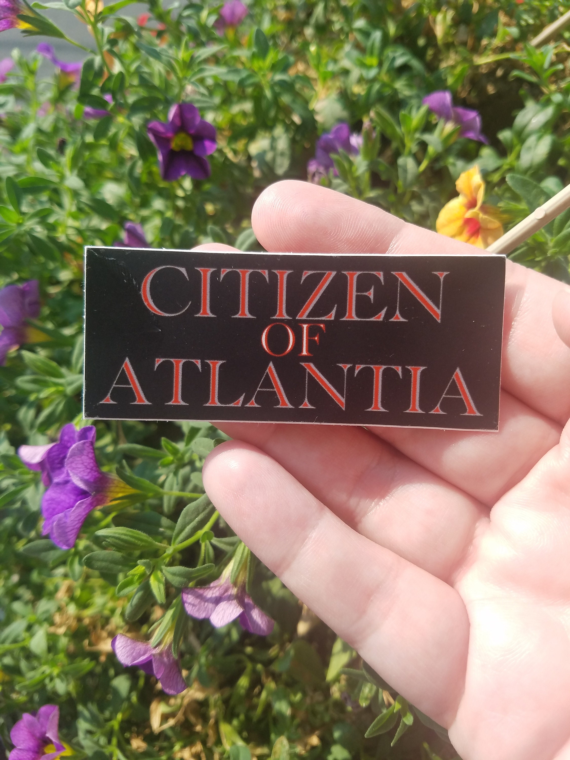 From Blood and Ash Sticker Citizen of Atlantia From Blood | Etsy