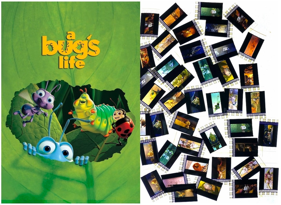 Larger Pack of 25x Genuine 35mm Clips - A Bug's Life (1998) 35mm Film ...