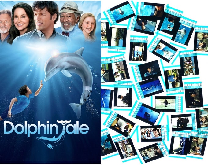 Winter the Dolphin Art, Dolphin With Prosthetic, Dolphin Art, Nautical ...