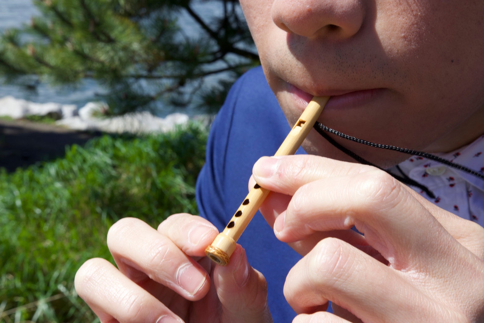 Natural Bamboo Micro-flute Bird-like Sound Perfect for - Etsy