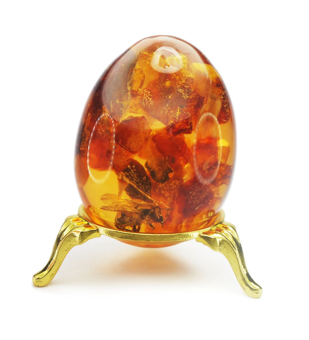 EGG Baltic Amber With Fossil Insect Bee - Etsy