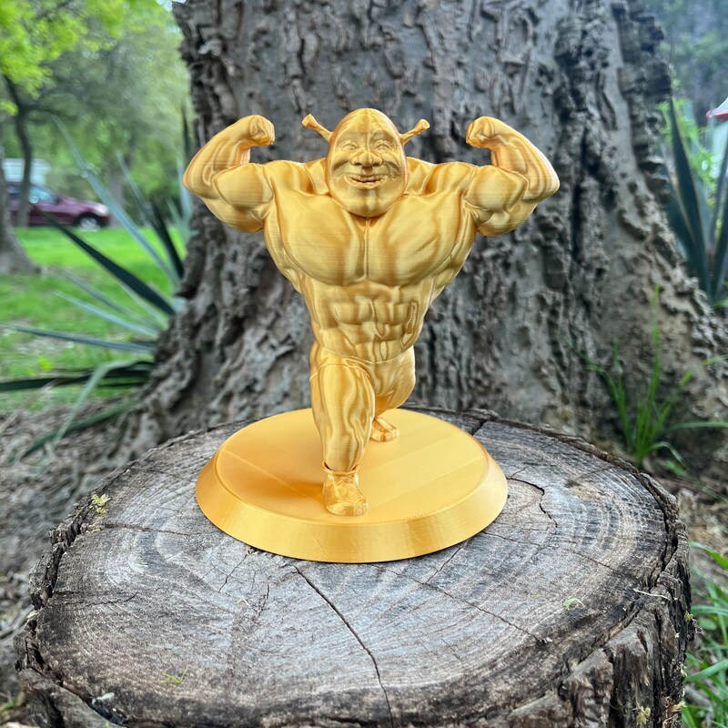Shrek Gag - Etsy
