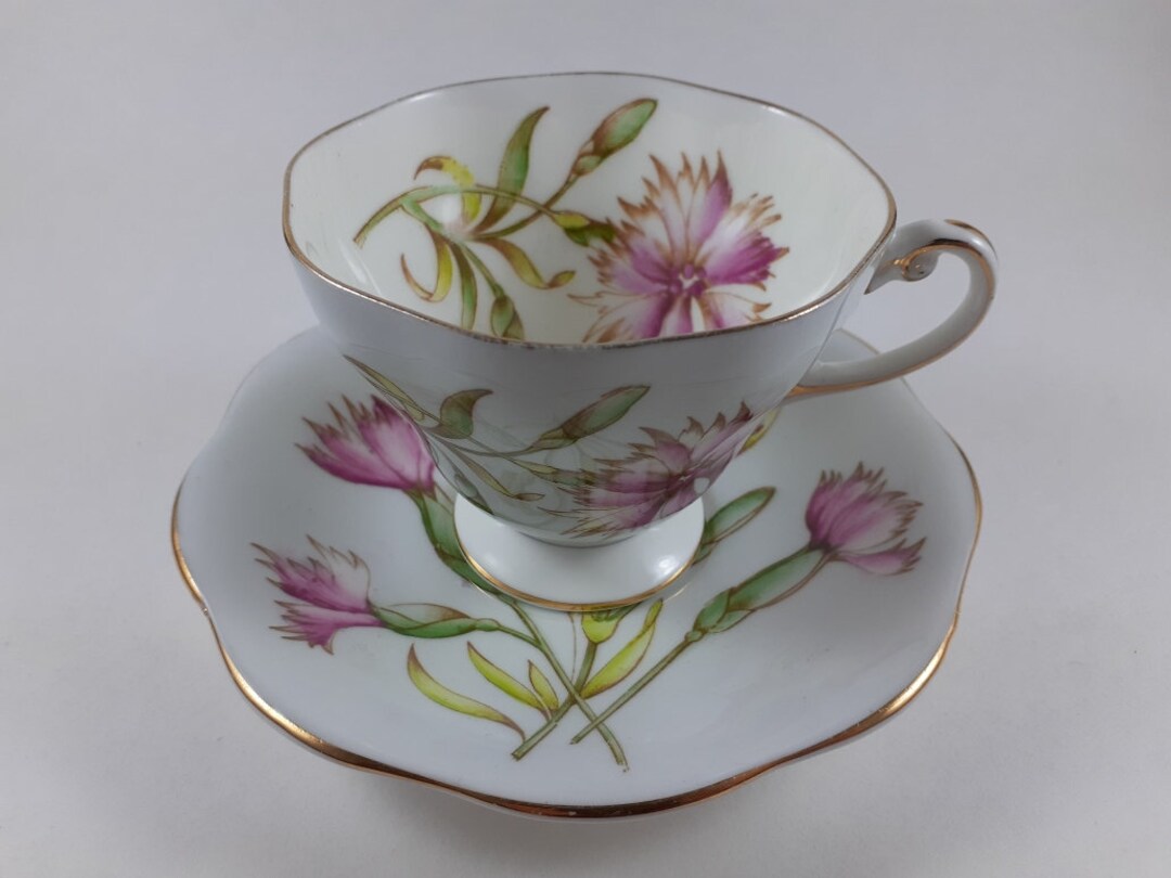 EB Foley Teacup and Saucer, PINK CARNATION Vintage Tea Set, Gift for ...