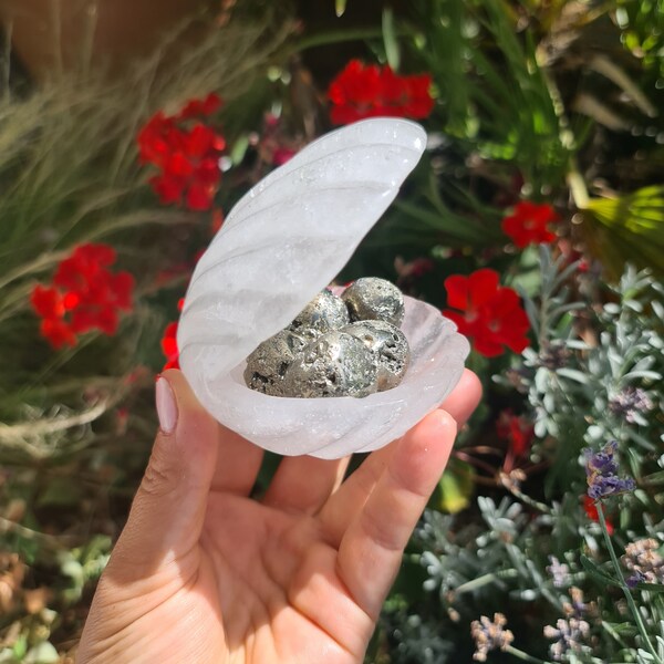 Clam Shell Bowl - Etsy
