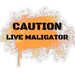 CAUTION Live Maligator Sticker Decal / Belgian Malinois / Schutzhund ...