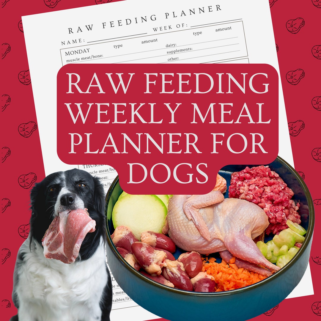 Raw Feeding Weekly Planner for Dogs/essential Pet Nutrition Log/raw Fed ...