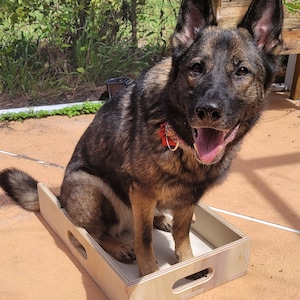 Dog Training Box Solid Wood With Handles/ Obedience Box / Shaping Box ...