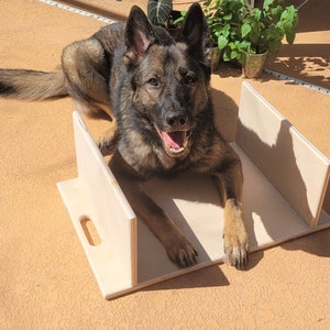 Dog Training Directional Placement Position Tool - Solid Wood + Handle ...