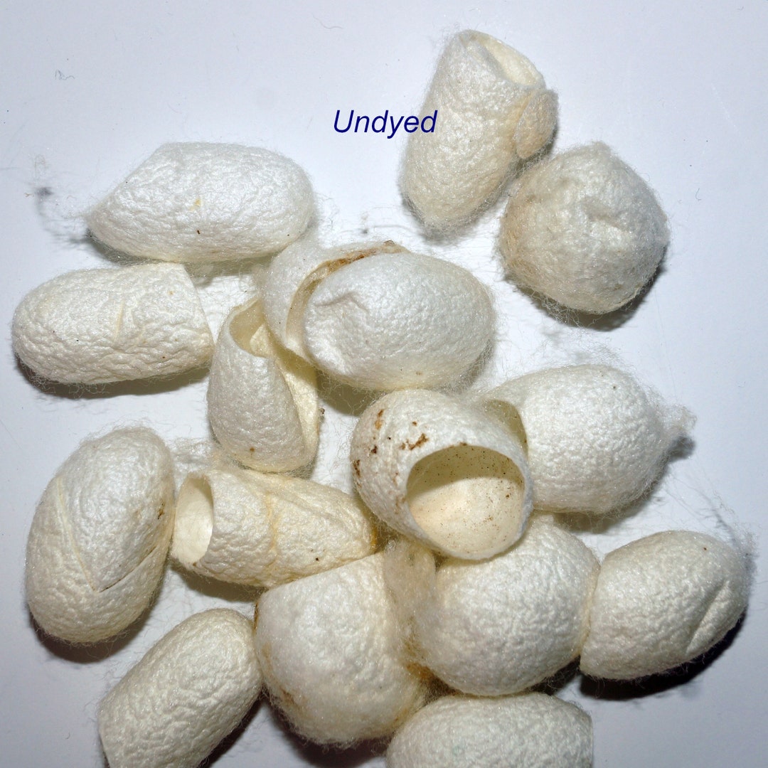Silk Cocoons Undyed, 10 Silk Cocoons, Cut Silk Cocoons, Dragon Eggs ...