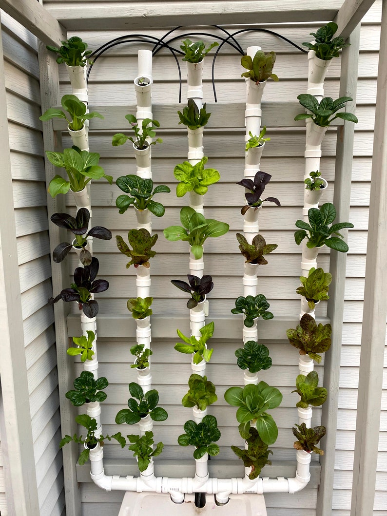 Hydroponic Garden Plans - Etsy