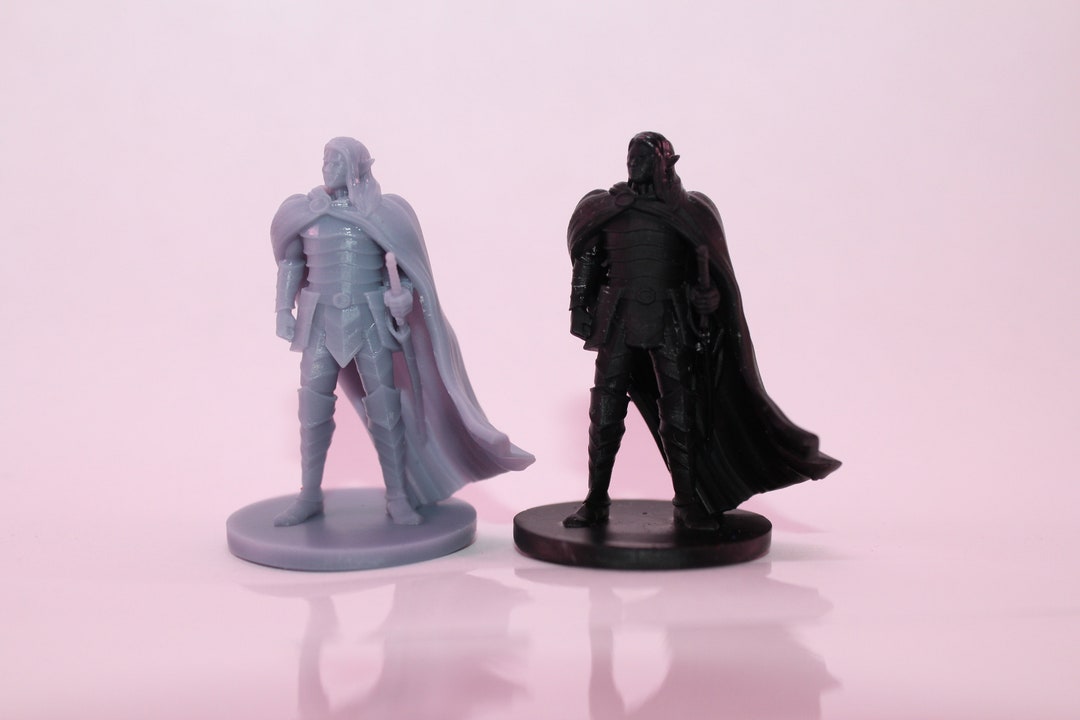 Radiant Protector | Male Paladin Elf Miniature | Dnd Mini - Etsy