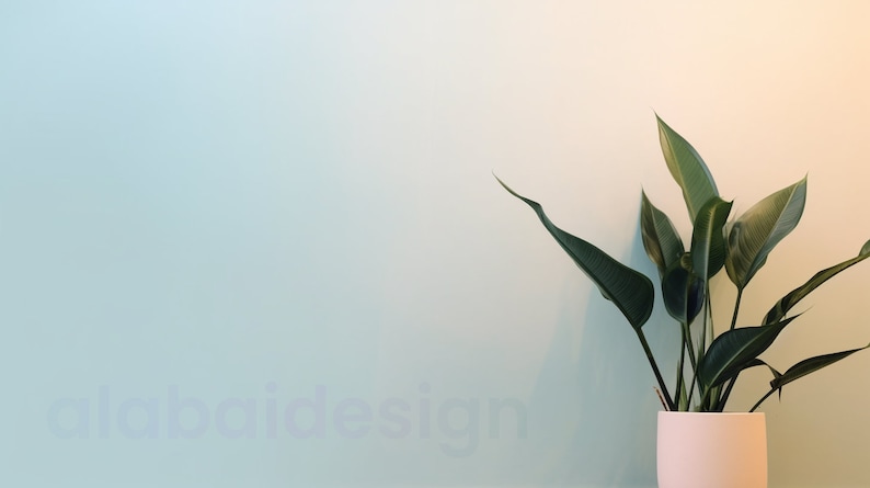Minimalist Zoom Background (TWO) | Potted Plant Home Office Decor ...