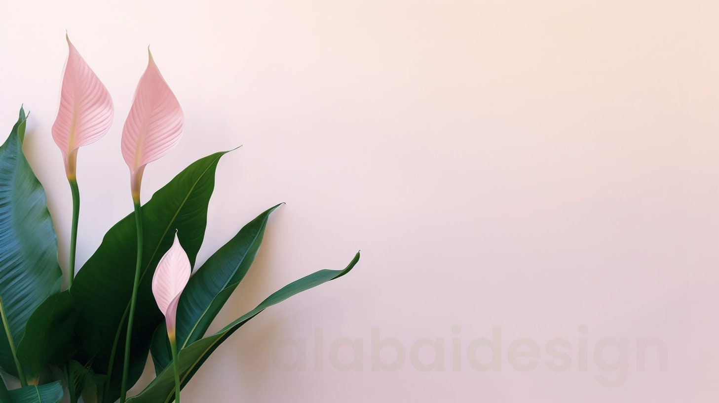 Virtual Background for Zoom (TWO) | Pink Peace Lily Warm Home Office ...