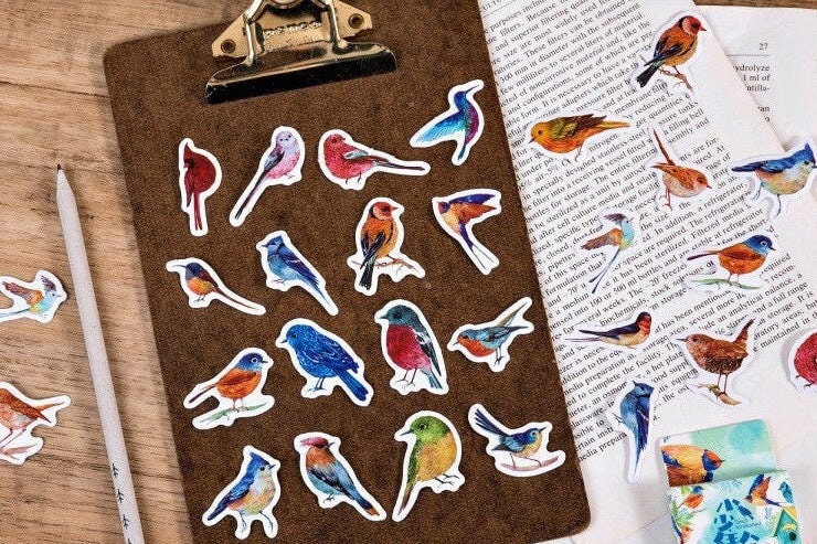Colourful Bird Sticker Set Journal Supplies Scrapbook - Etsy