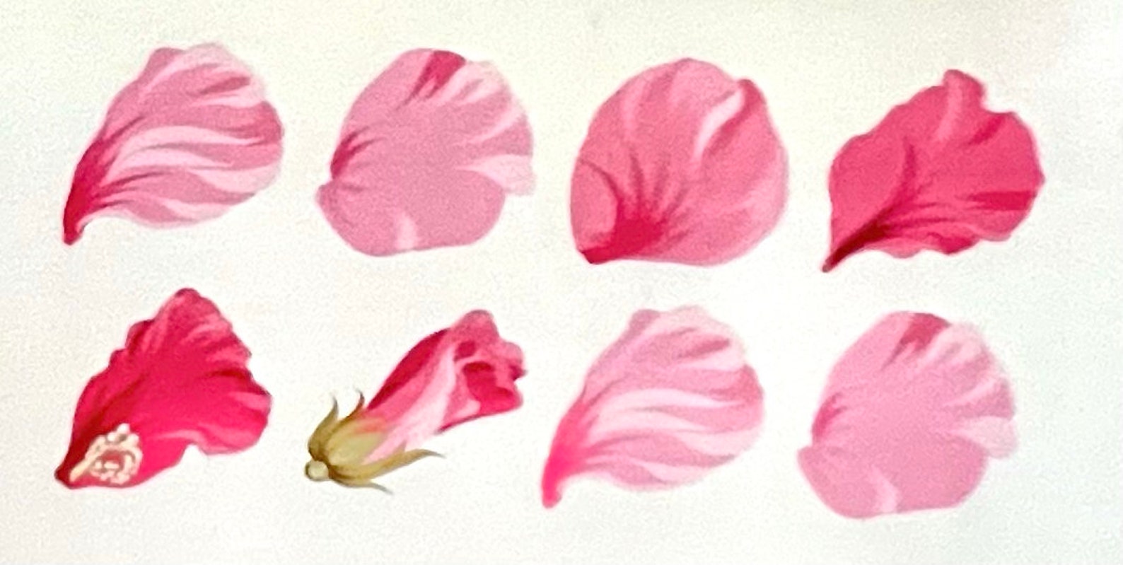200 Petal Stickers - Card Making Supplies - Scrapbook Stickers - Flower ...