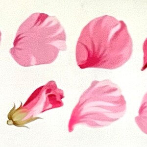 200 Petal Stickers - Card Making Supplies - Scrapbook Stickers - Flower ...