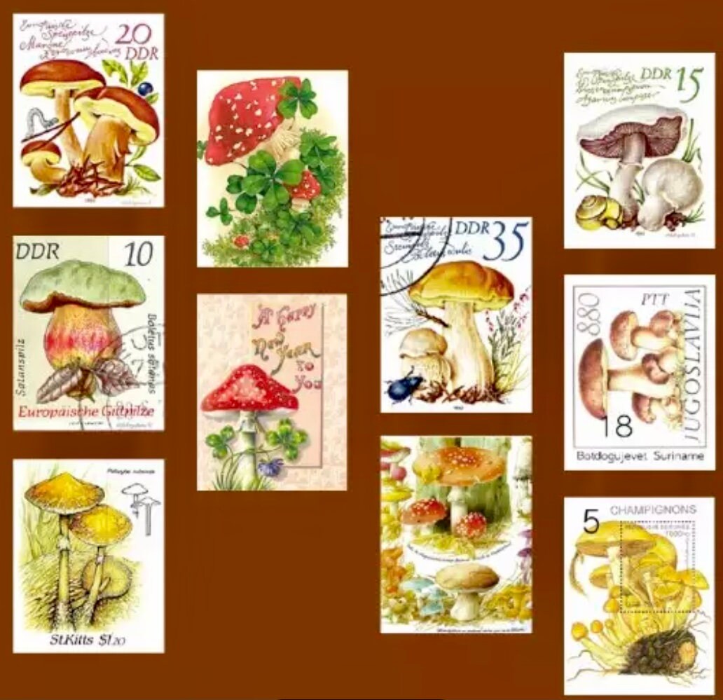 Stamp Sticker Roll 8 Style Choices Retro Sticker Roll - Etsy UK