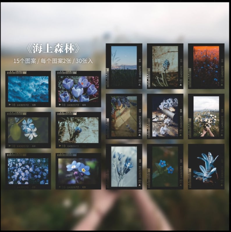 Photo Negative Stickers 8 Colour Choices Scrapbook - Etsy UK