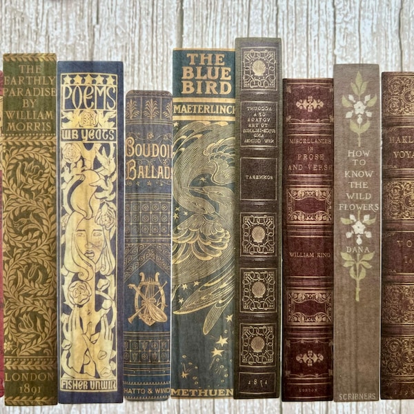 Library Decal - Etsy UK