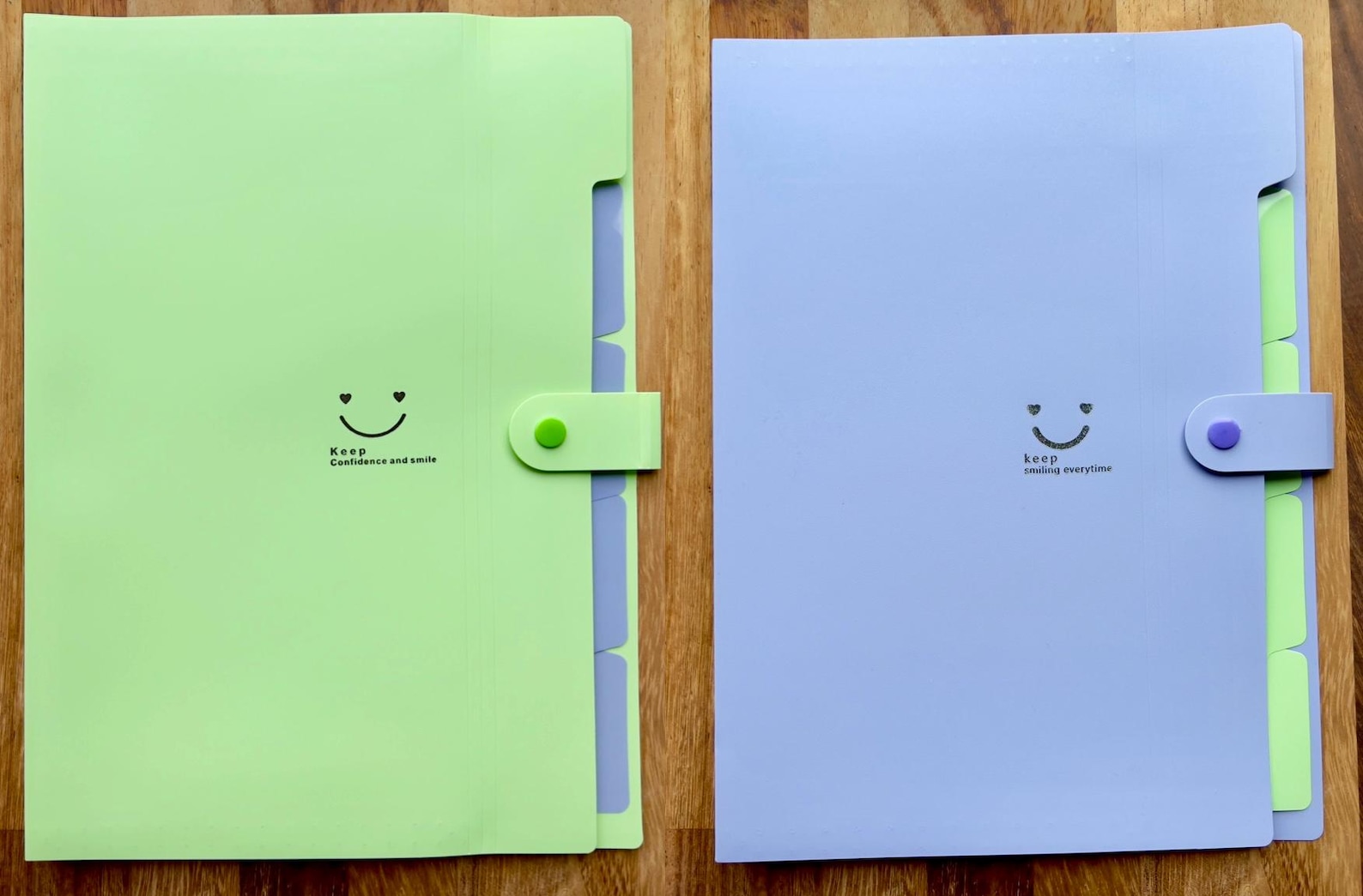 A4 Expanding Folder - Paper Storage - Bill Organiser - Desk Accessories ...