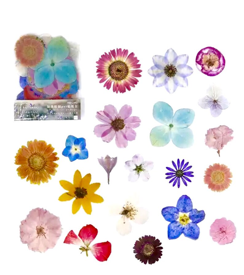 Pressed Flower Stickers - 8 Choices - Scrapbook Supplies - Floral ...