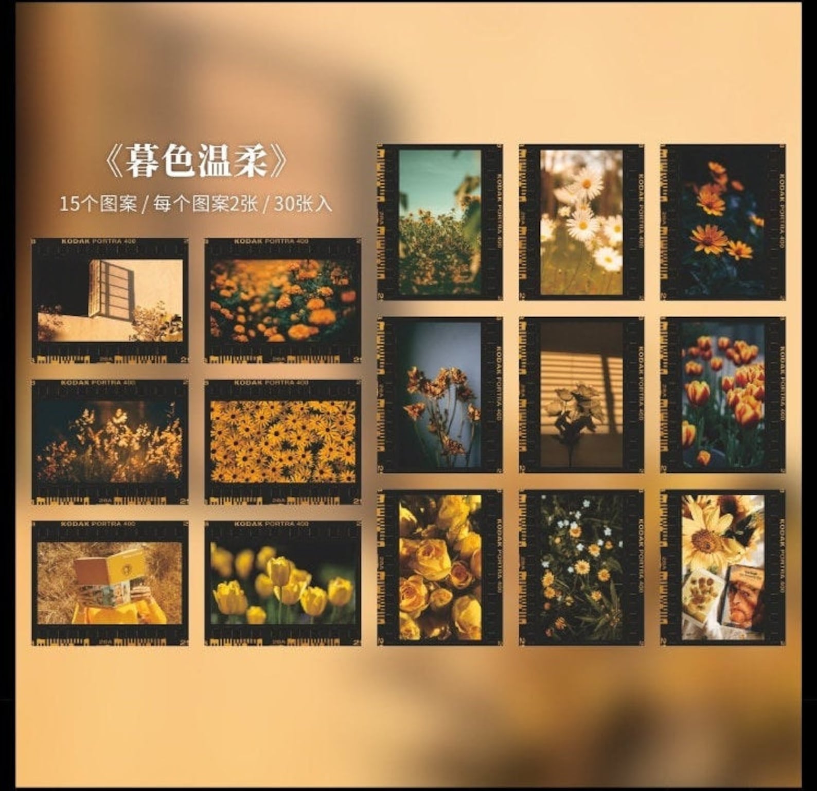 Photo Negative Stickers 8 Colour Choices Scrapbook - Etsy UK