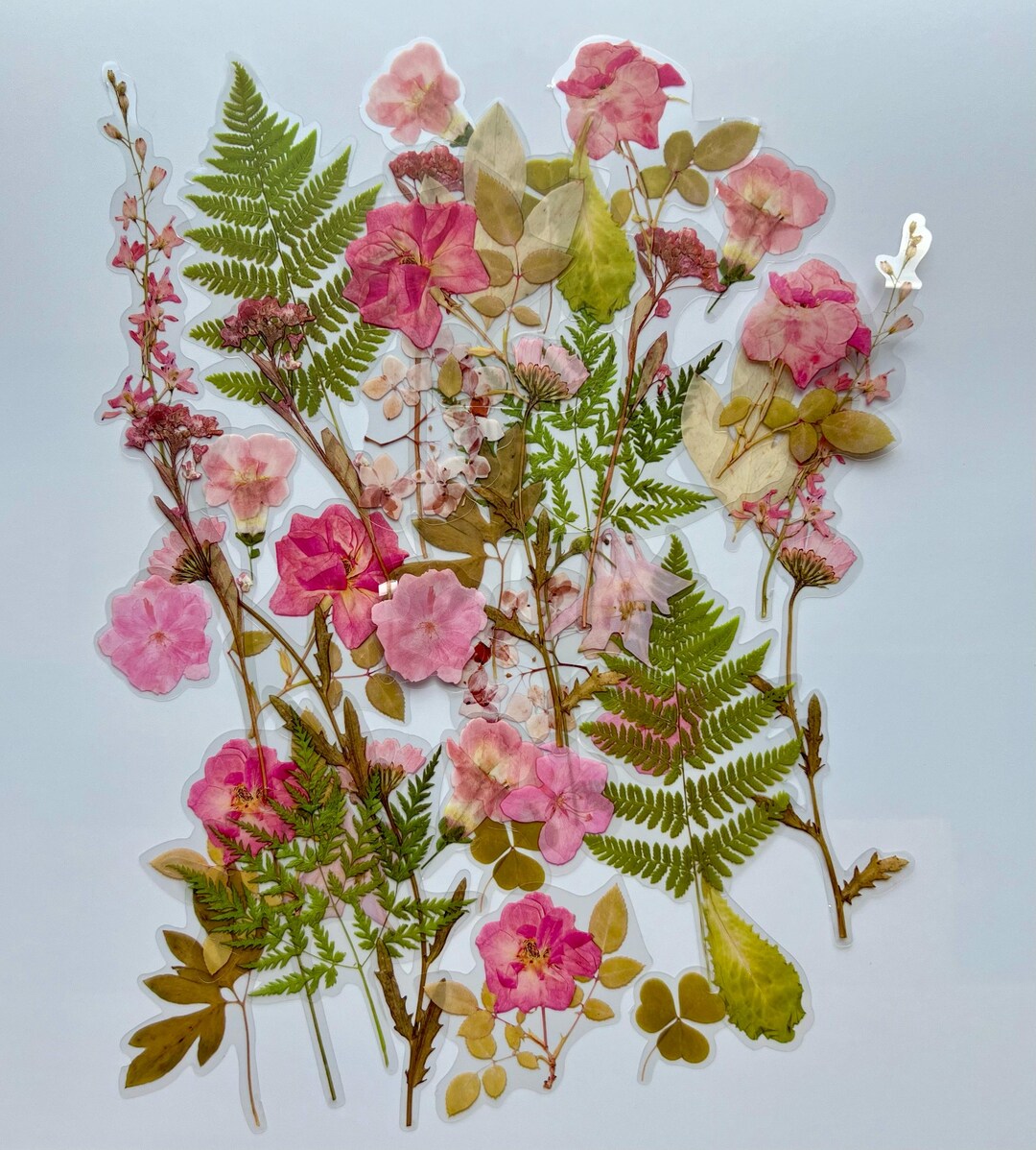 40 Pressed Flower Stickers Creative Journaling Stickers Scrapbook ...