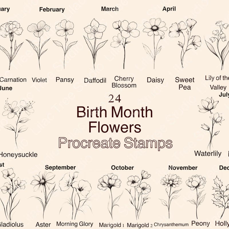 Birth Flower Month Kit - Etsy UK
