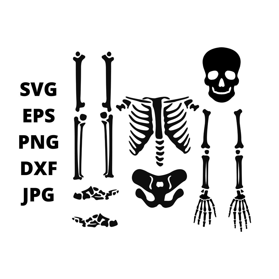 SEPARATE Skeleton Body Parts SVG Clipart, Halloween Skeleton Image ...