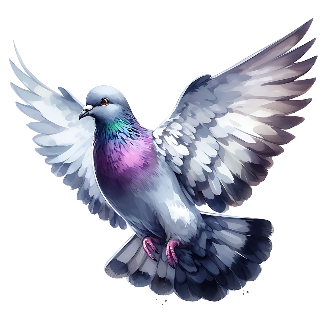 Pidgeon Flying PNG Clipart, Grey Watercolor Bird PNG Download, Pidgeon ...