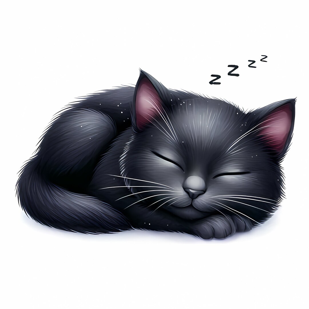 TRANSPARENT Sleeping Black Cat PNG Clipart, Cute Kitten Illustration ...