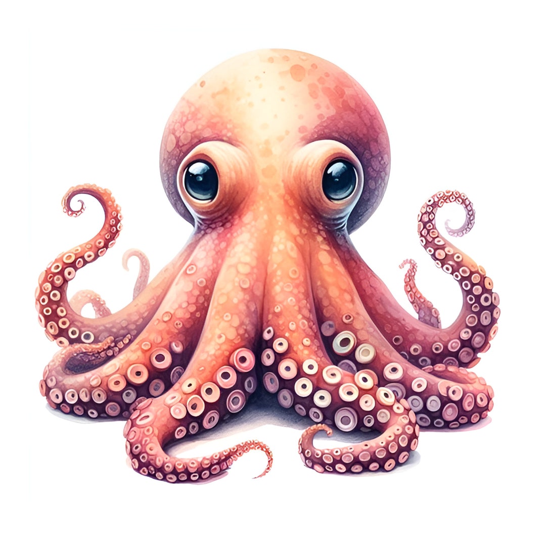 Watercolor Octopus PNG Clipart, Sea Creature PNG Download, Ocean Animal ...