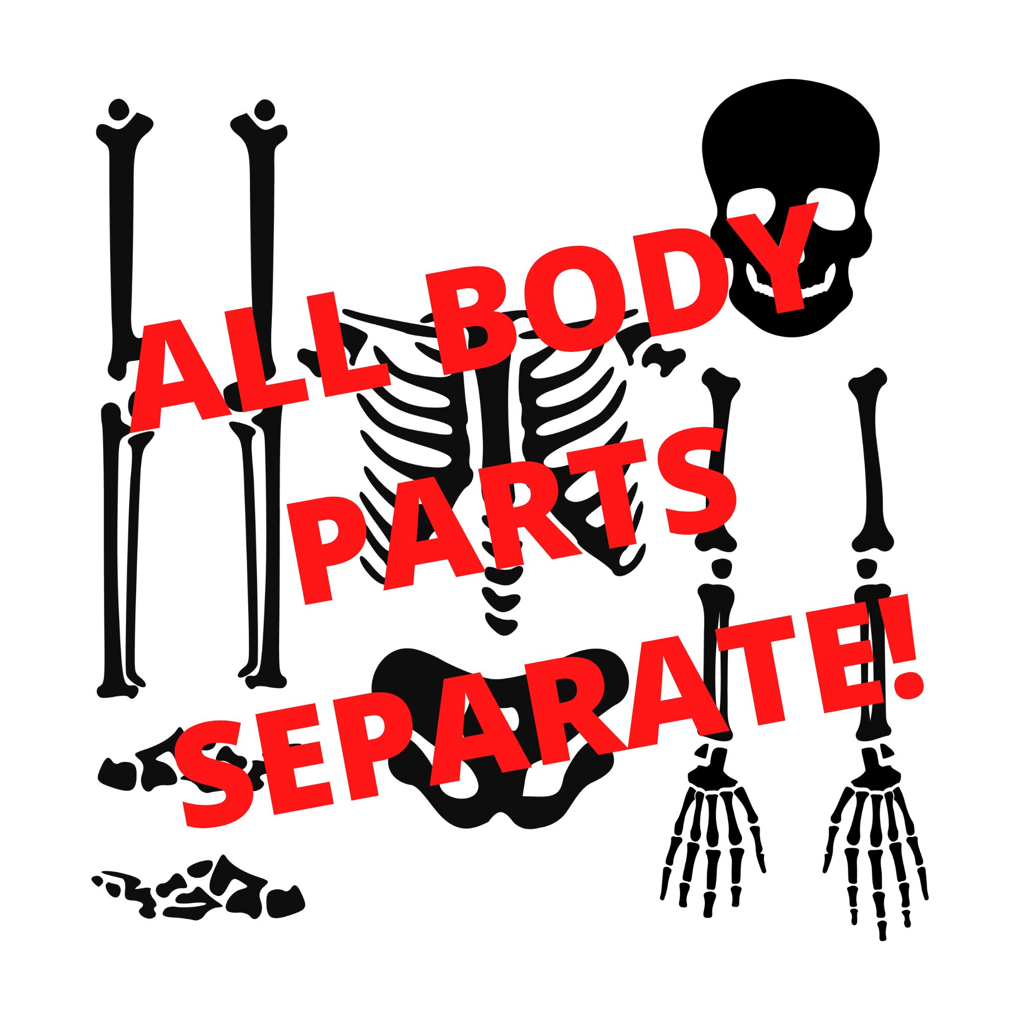 SEPARATE Skeleton Body Parts SVG Clipart Halloween Skeleton - Etsy Denmark