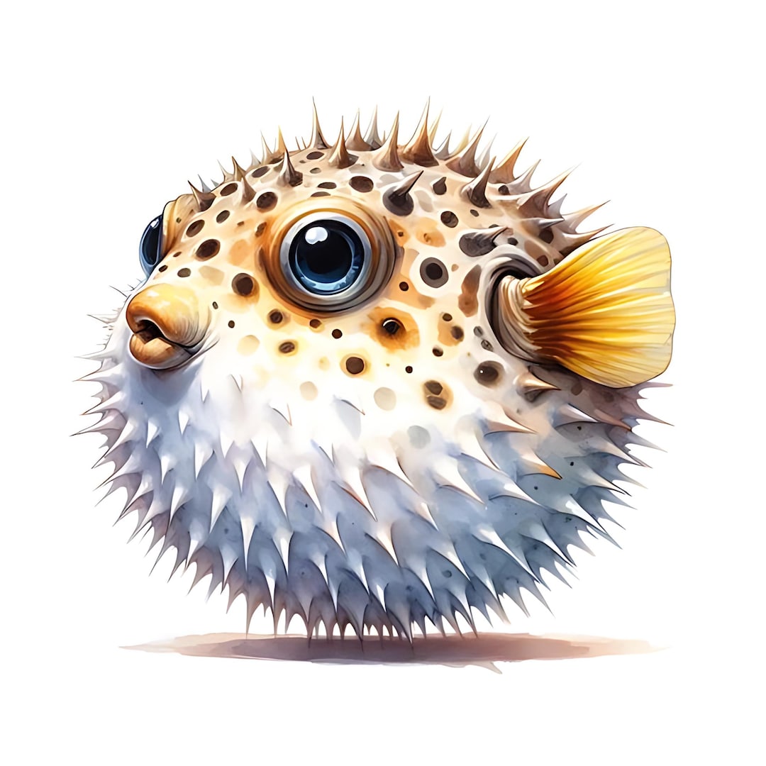 Watercolor Cute Puffer Fish PNG Clipart, Sea Animal Canvas PNG Download ...
