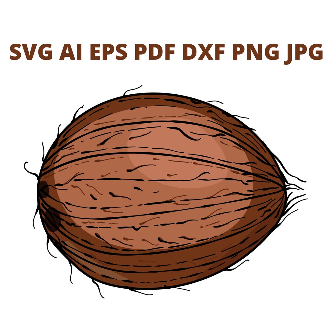 Coconut in Color SVG Clipart, Hand Drawn Coconut Image Digital Download ...