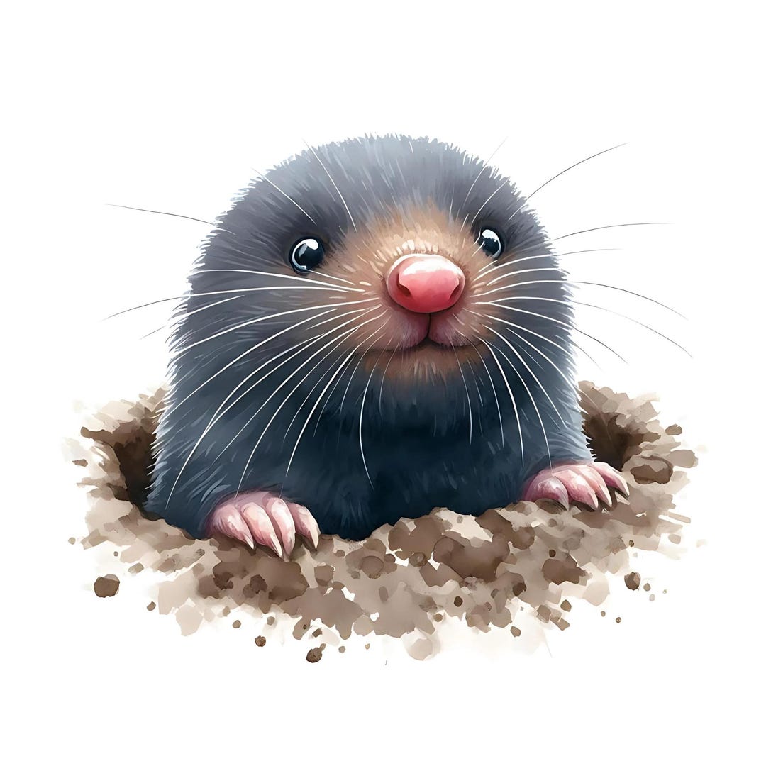 TRANSPARENT Mole Poking Out of Hole PNG Clipart, Fluffy Animal Download ...