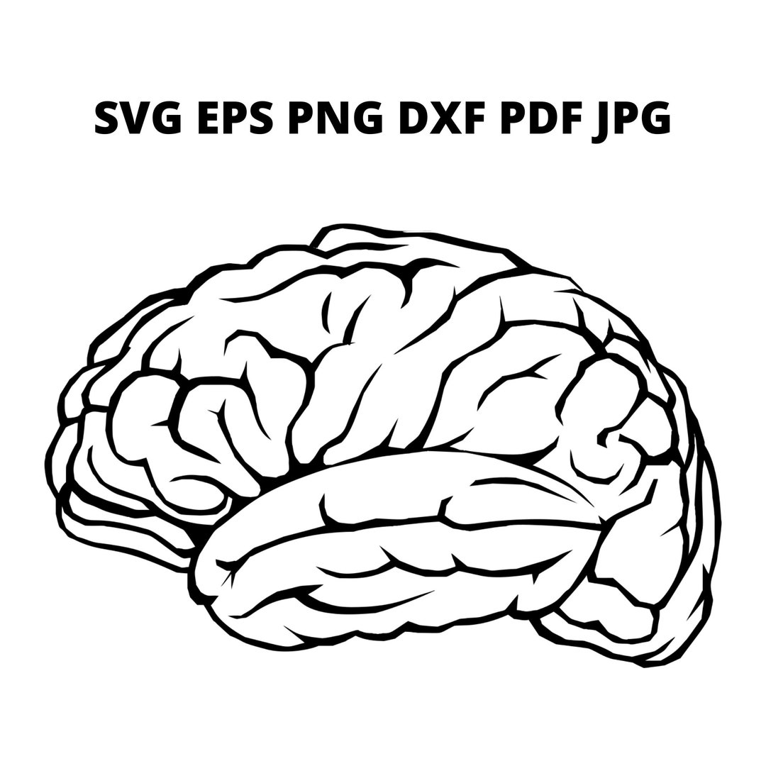 Human Brain Side View SVG Clipart, Human Brain Picture Print on Demand ...