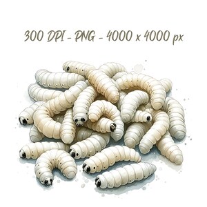 Watercolor Maggots PNG Clipart, Larva Illustration PNG Download ...