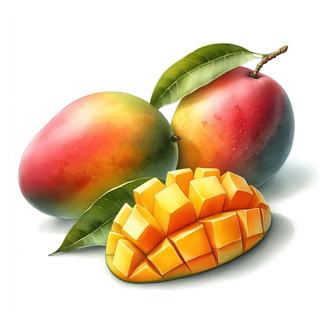 Ripe Mango Watercolor Clipart, Tropical Fruit Illustration PNG Download ...
