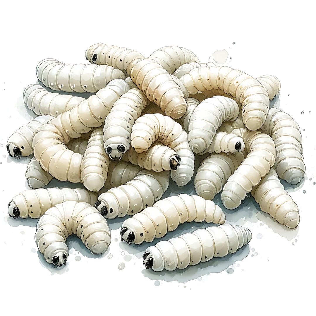 Watercolor Maggots PNG Clipart, Larva Illustration PNG Download ...