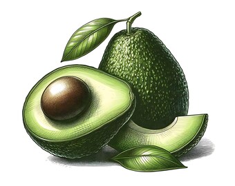 Watercolor Avocado Clipart, PNG Digital File, Green Food, INSTANT ...