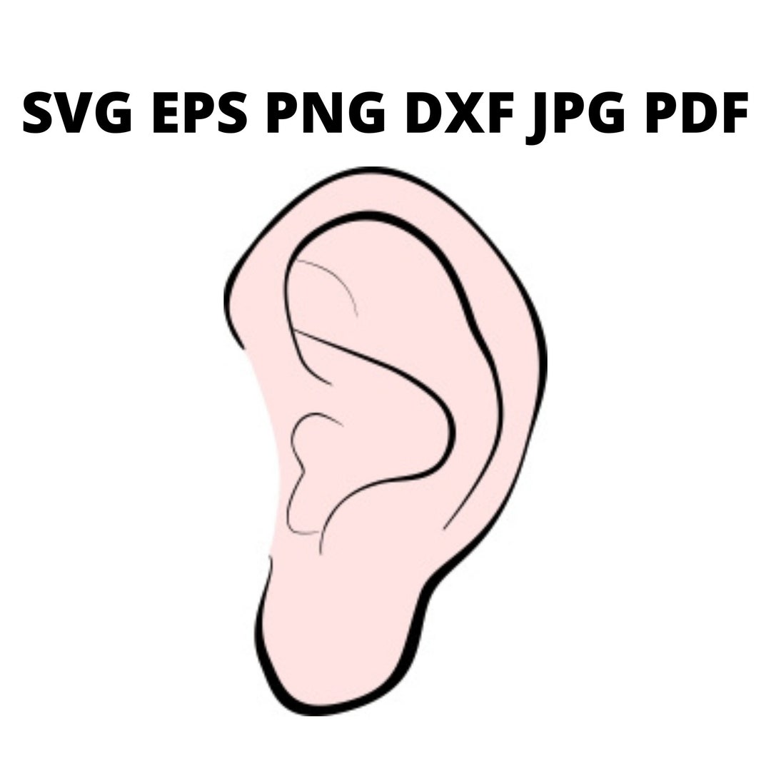 Human Ear SVG Clipart, Anatomy Picture Print on Demand Download, Body ...