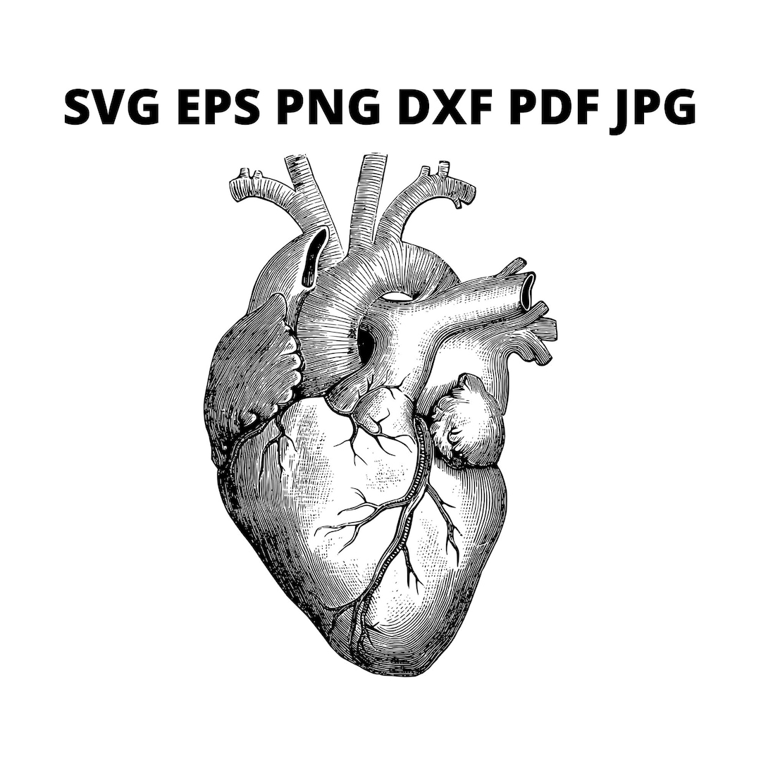 Black And White Human Heart