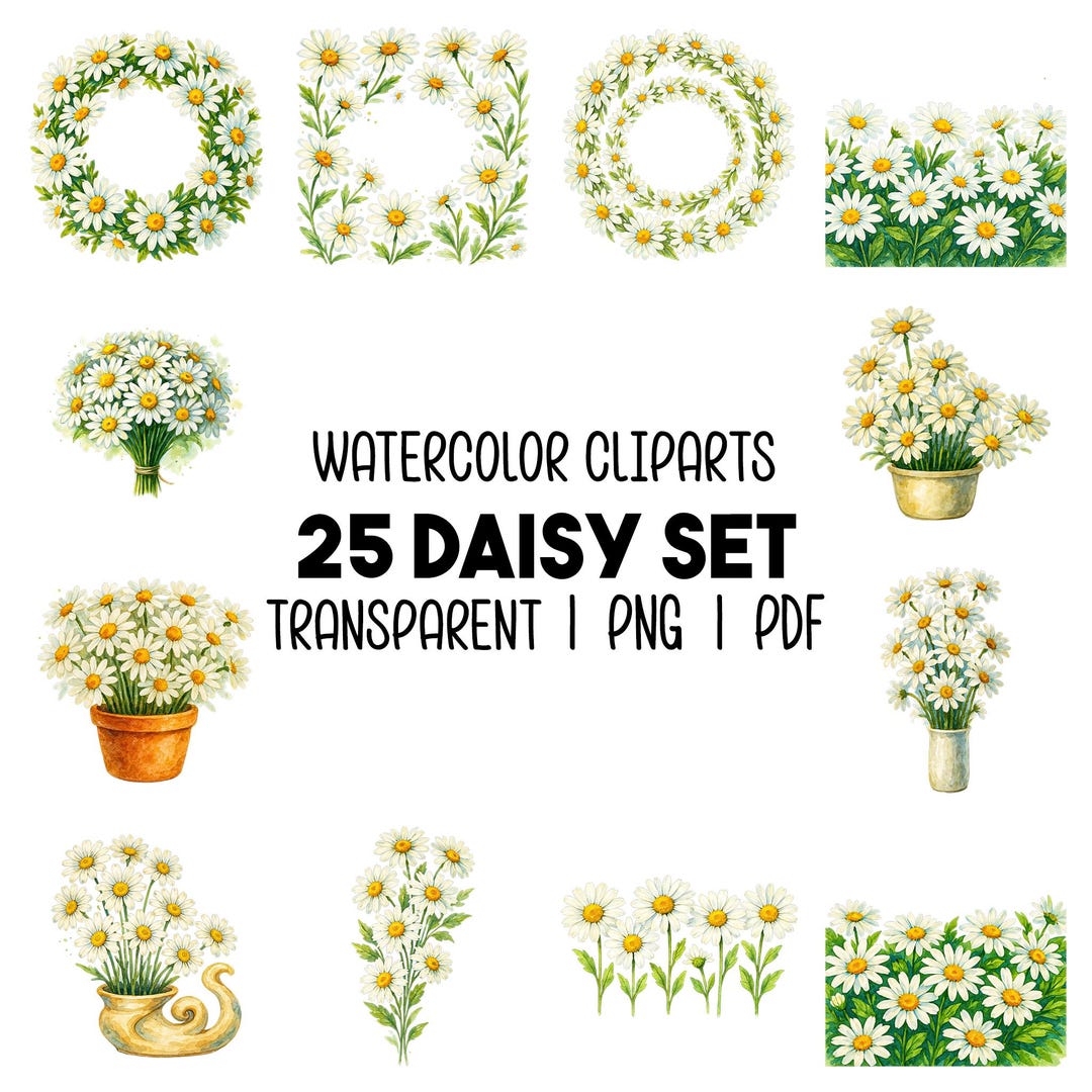 25 Watercolor Daisy Border Clipart PNG Set, Hand Painted Chamomile ...